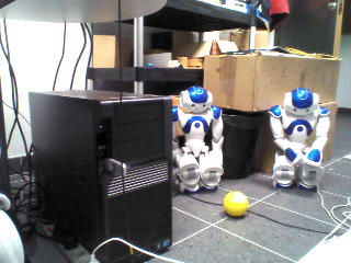 Ball models Object Detection Dataset and Pre-Trained Model by ML project