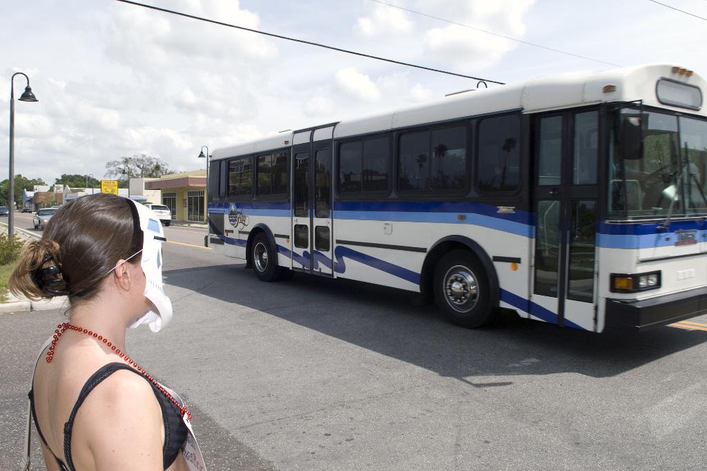 buses Object Detection Dataset and Pre-Trained Model by Project Stardust