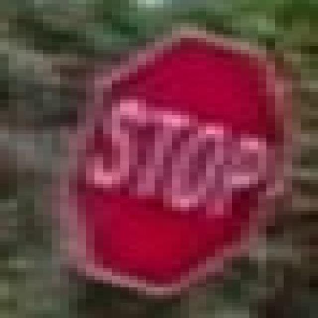 stop_detect Object Detection Dataset by YOLOV5