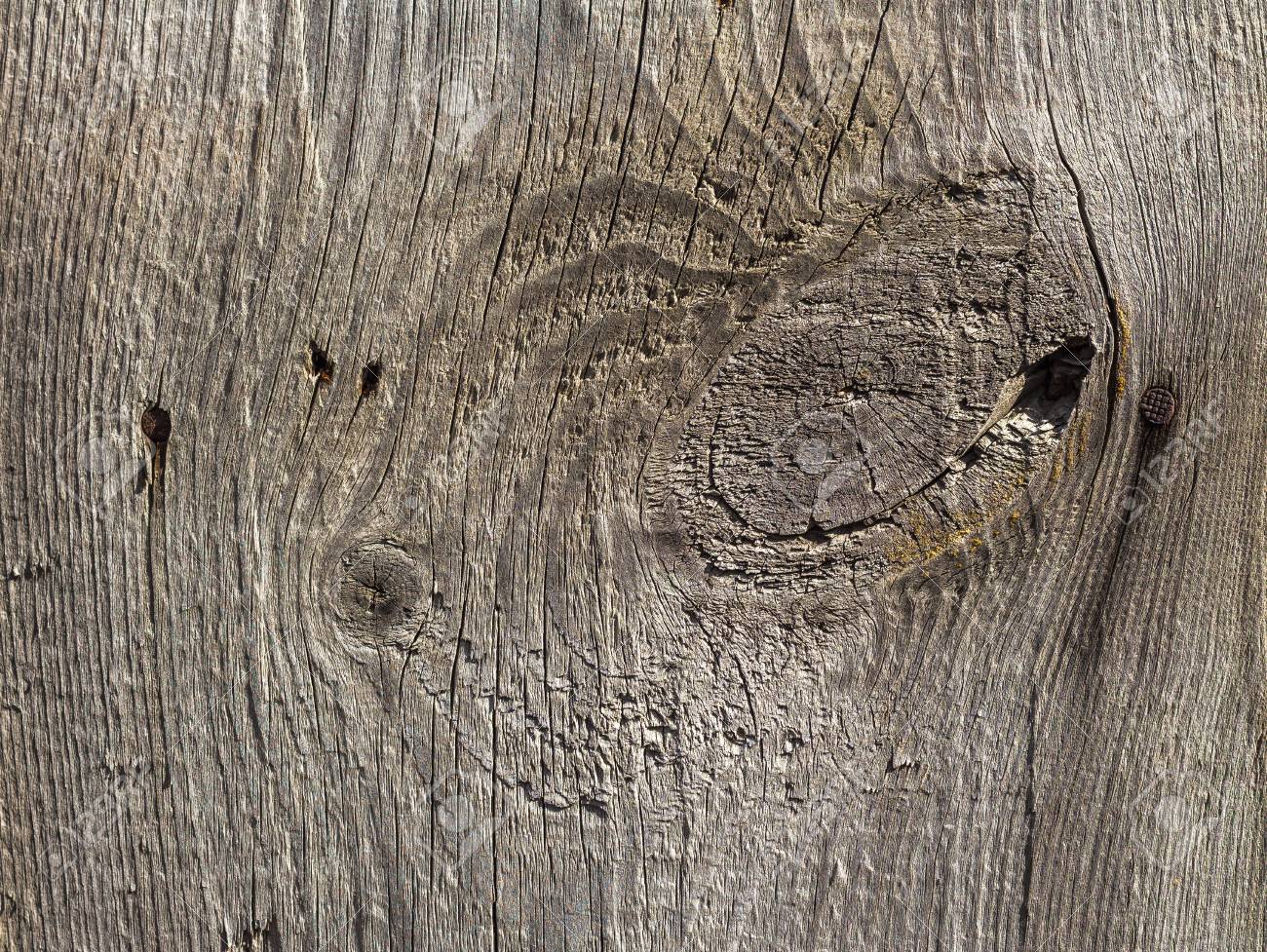 Wood Defects Object Detection Model By Tunku Abdul Rahman University Of Management And Technology