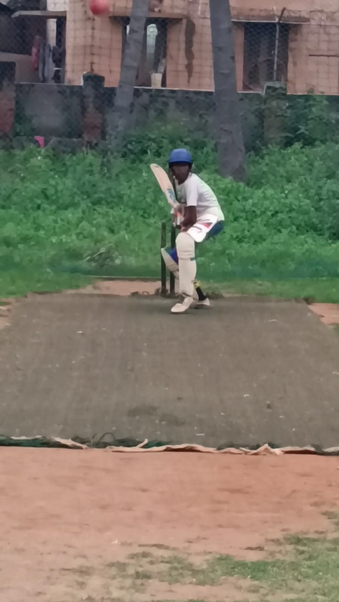 Cricket Object Detection Dataset and Pre-Trained Model by Ashique