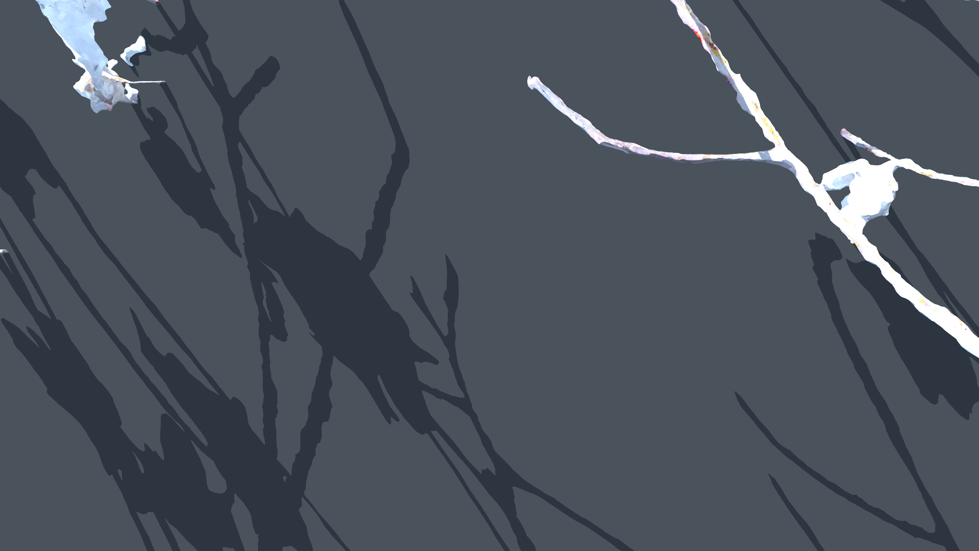 MAVS-cotton-boll Object Detection Dataset by Zhang lab Projects