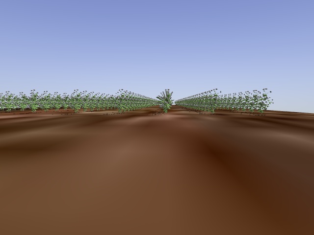 Sim-Cotton-field-segmentation Instance Segmentation Dataset and Pre-Trained Model by Zhang lab ...