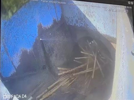 Wood_Segmentation Instance Segmentation Model by Mogai