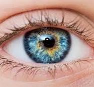 eyes flow Classification Dataset by Project