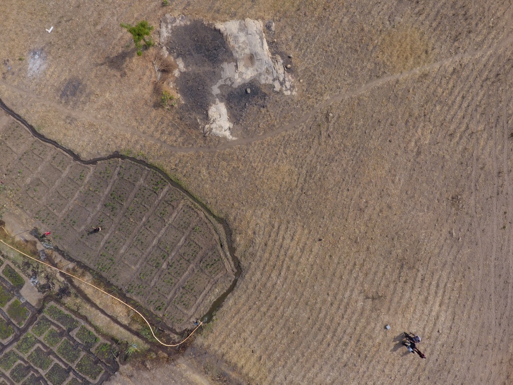 Plantdetection Object Detection Dataset By Plantdetection