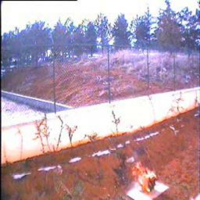 Object Detection Object Detection Dataset And Pre Trained Model By Manish