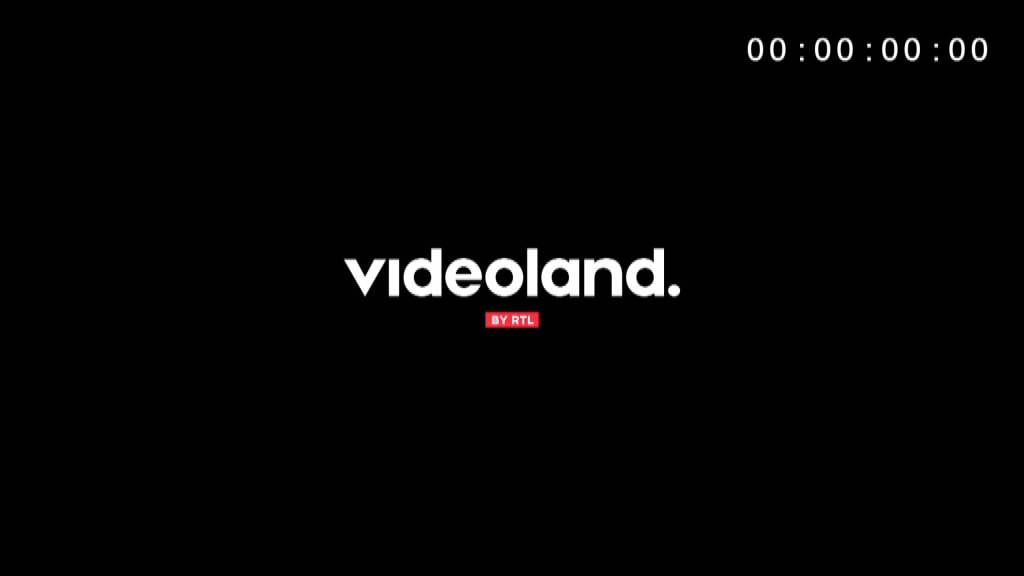 Robinson Flags Object Detection Model by content ia