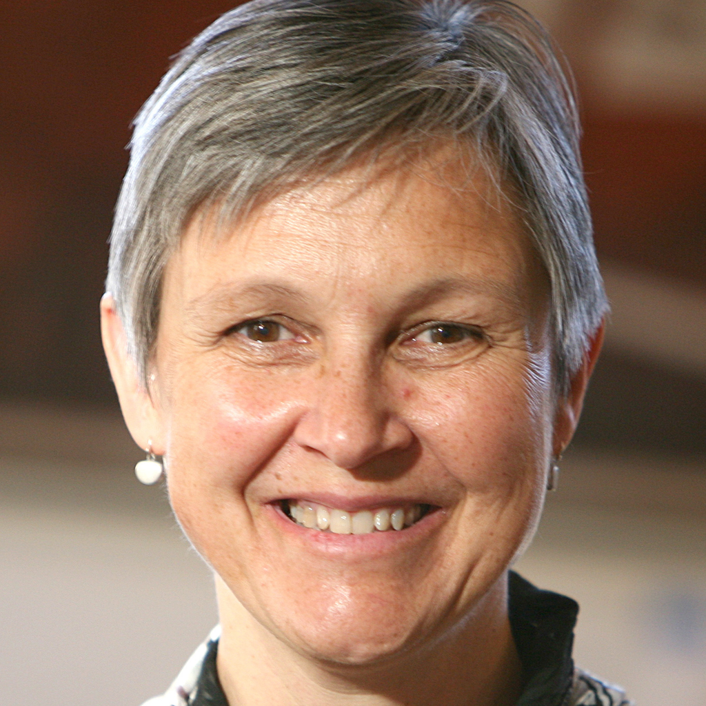 Pigmentation Instance Segmentation Model by HaNoi University of Science and Technology