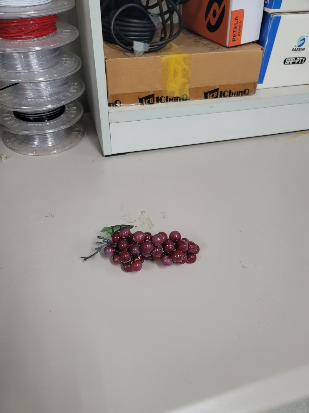 20240822_grape_train Instance Segmentation Dataset by 20240822objectscan04