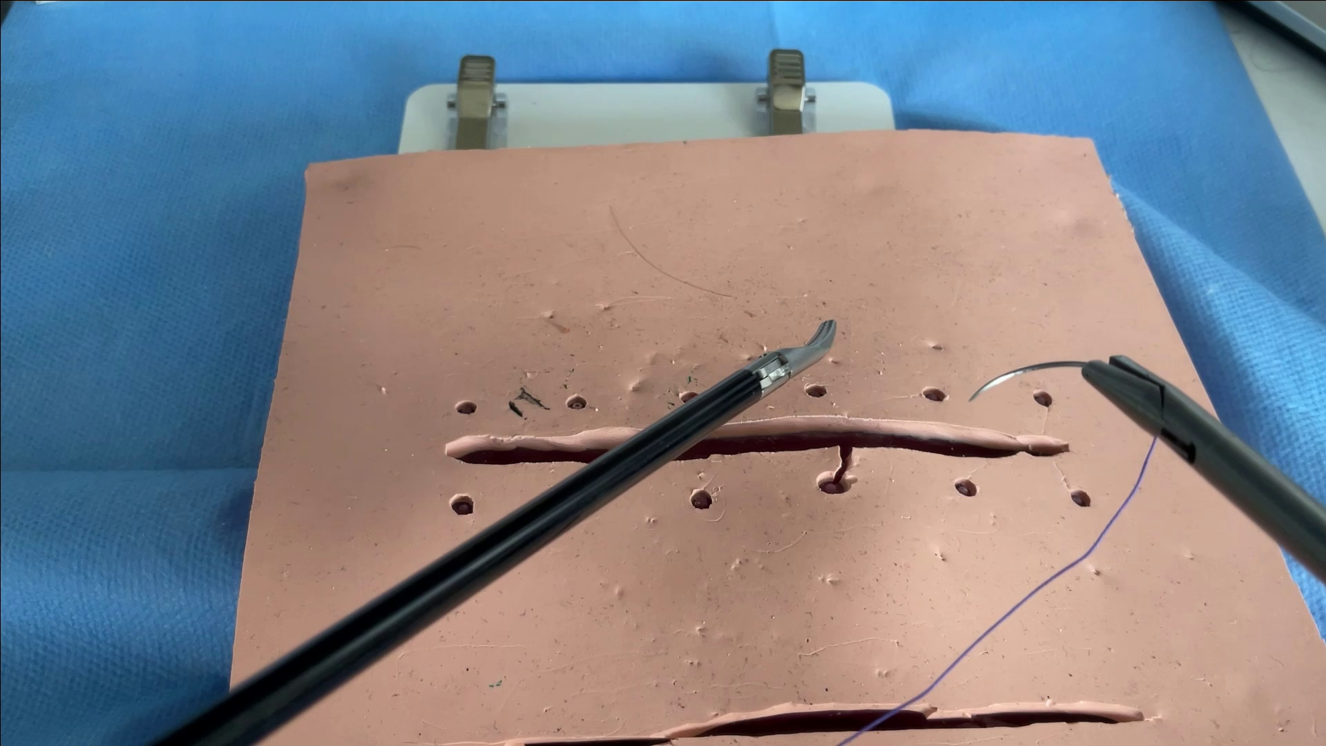 suturing_segm Instance Segmentation Dataset and Pre-Trained Model by Virtamed