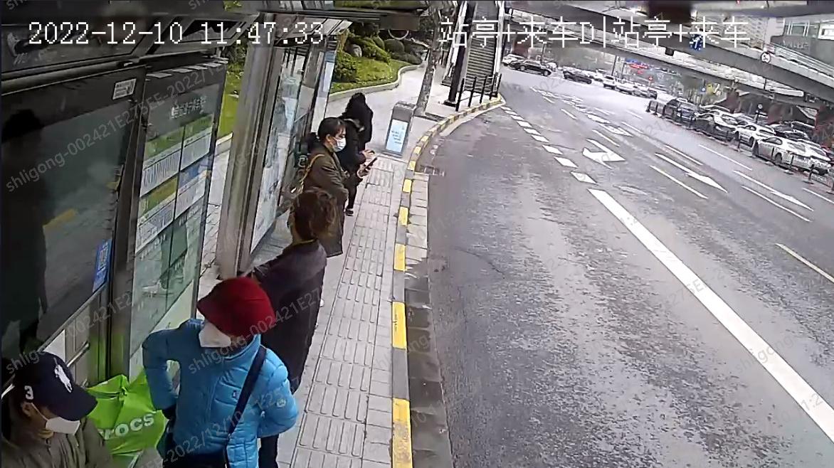 people_count Object Detection Dataset by yolo