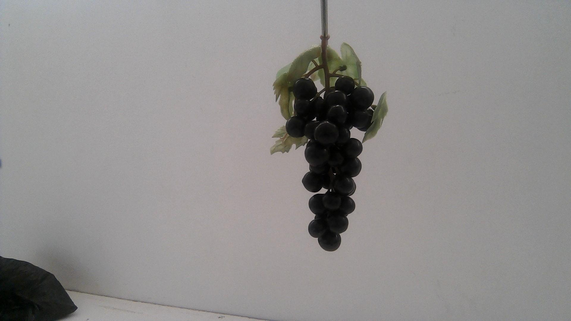 Grape Objects Object Detection Dataset and Pre-Trained Model by WSMexico