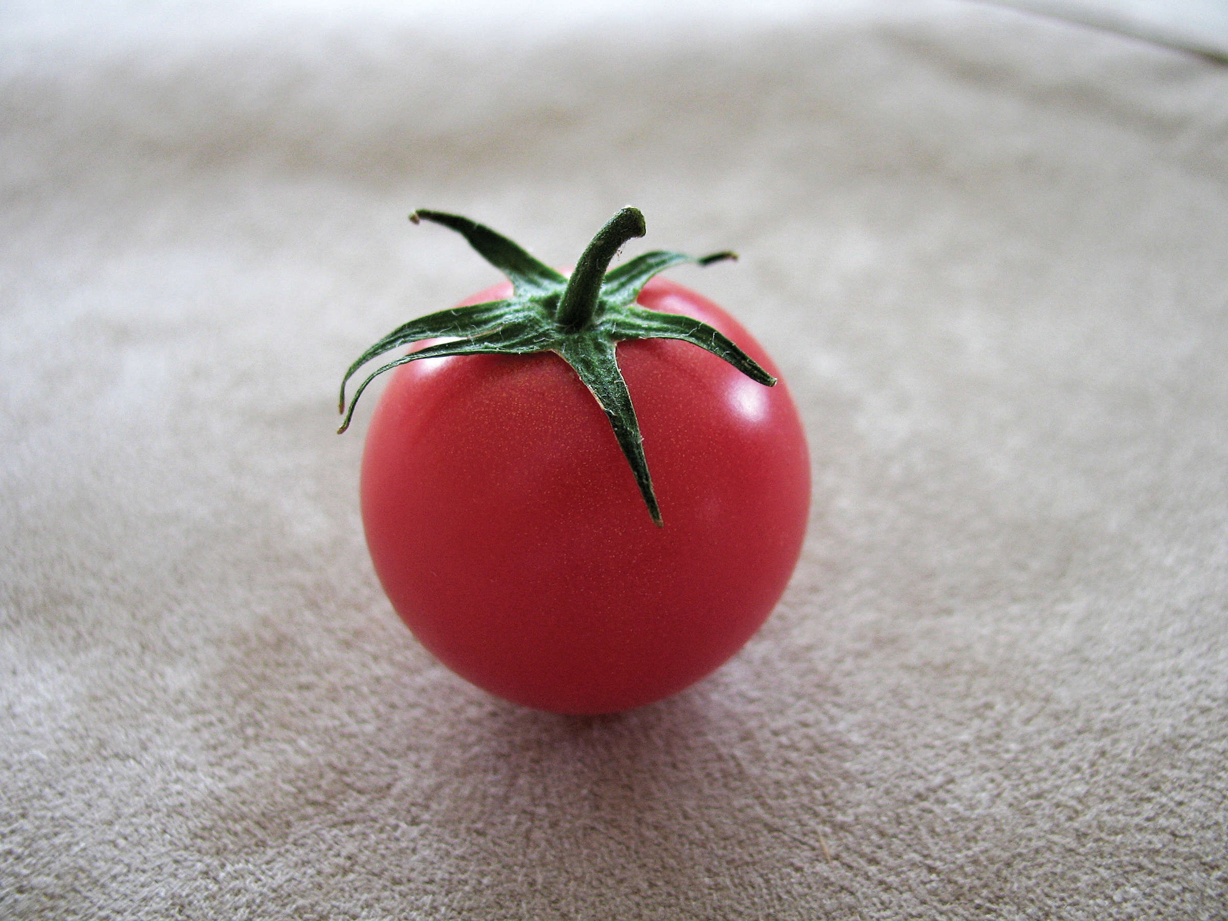 Food-Objects-Detection Object Detection Model by Food Detection