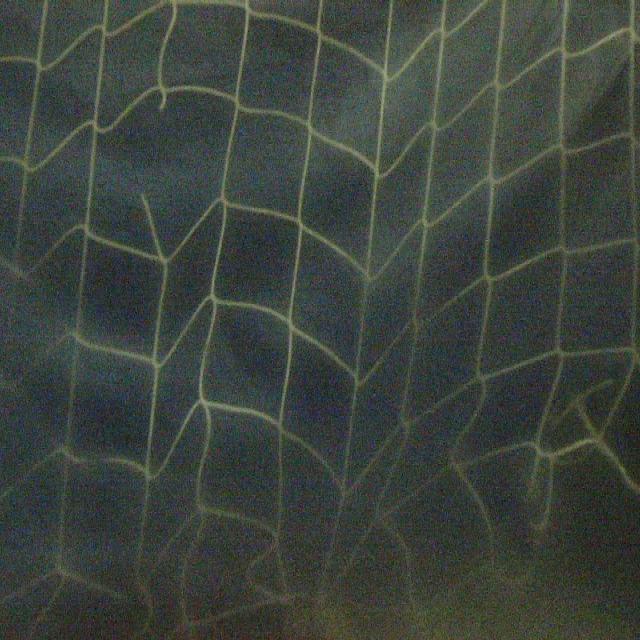 wangxiang1 Instance Segmentation Dataset by liu