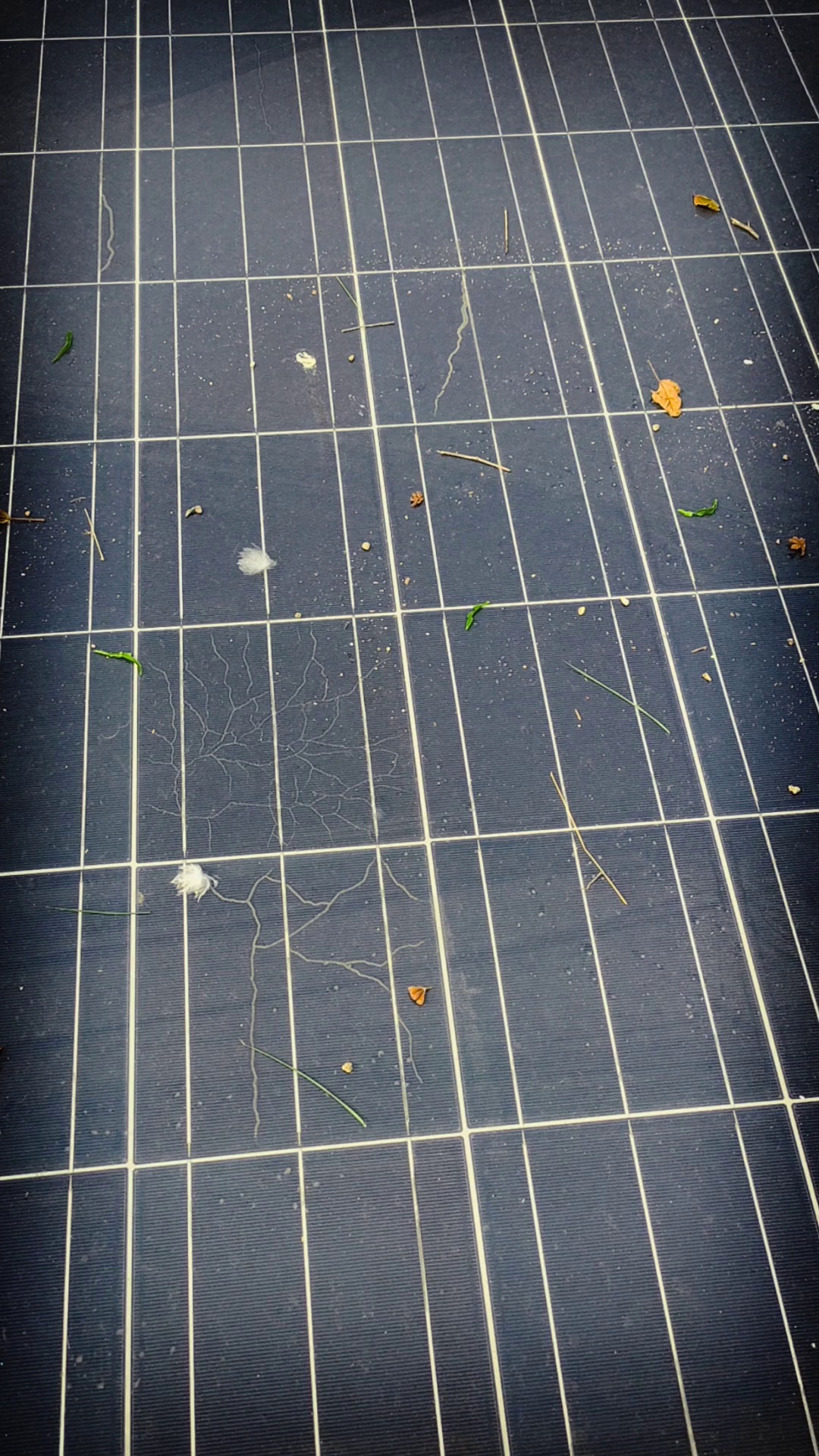Yolo Vrsn Object Detection On Solar Cell F 2 Object Detection Dataset