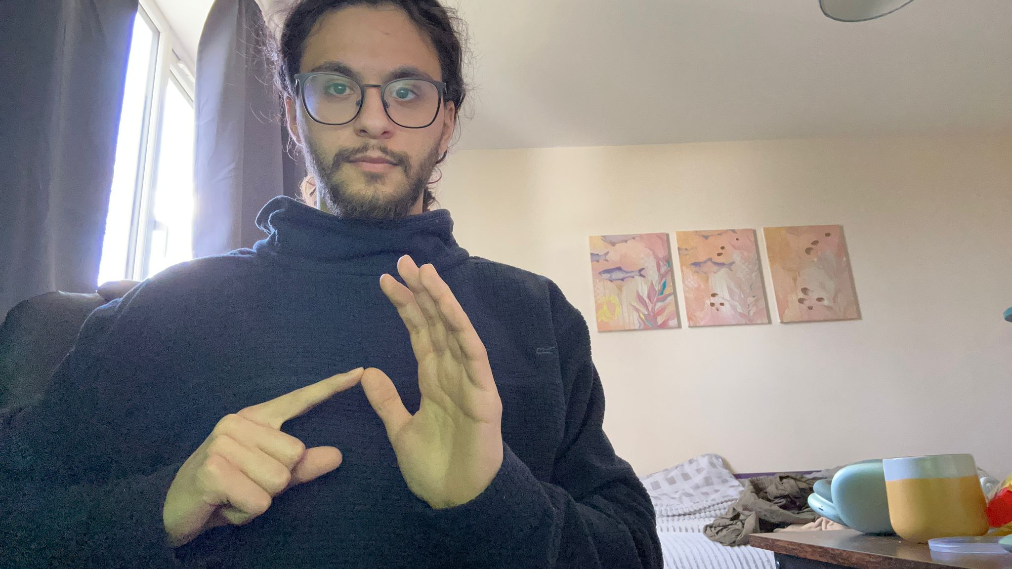 BSL Fingerspelling V2 Object Detection Dataset by label