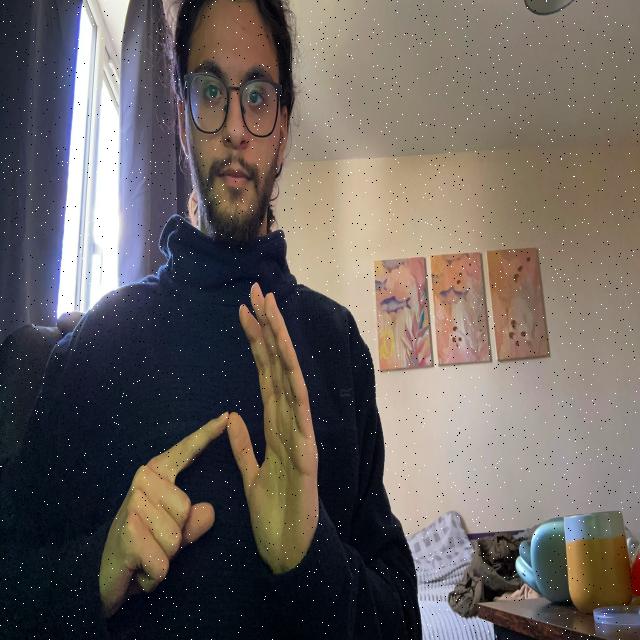 BSL_v3 Object Detection Dataset by label