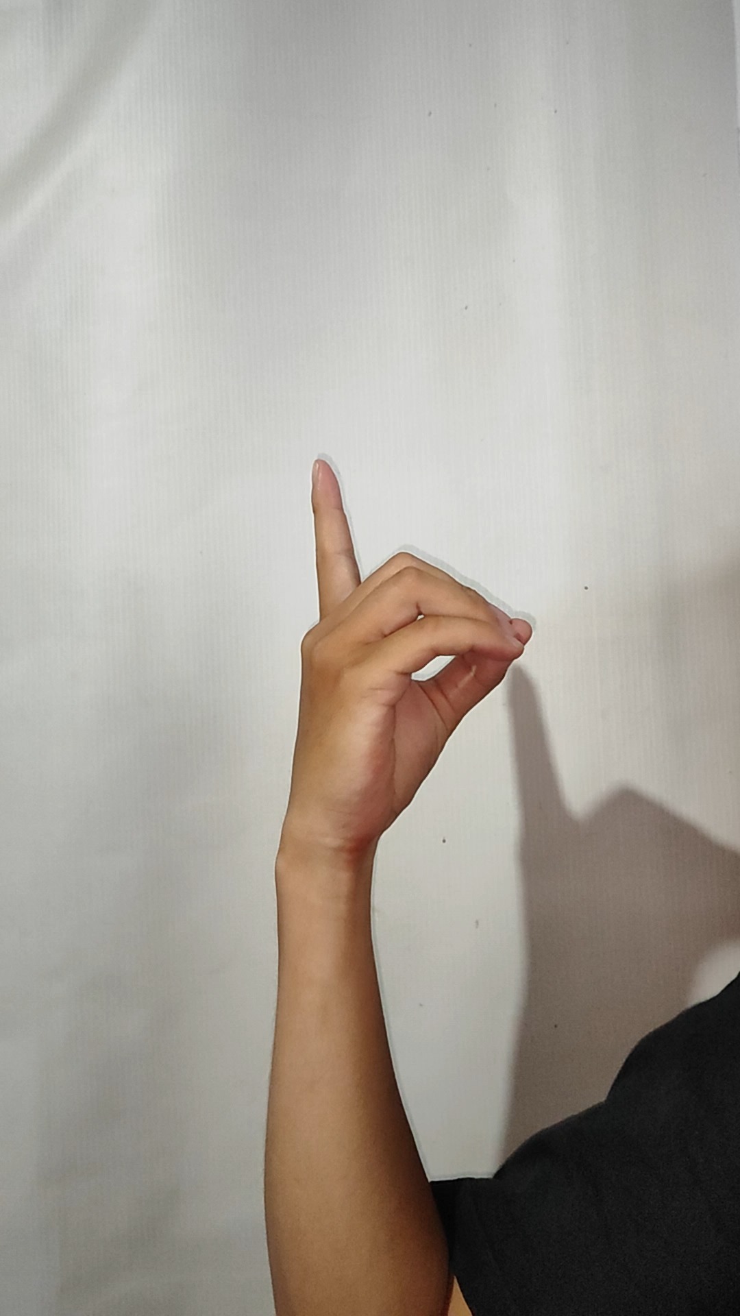 Sign_Language Object Detection Dataset by Bohol Island State University