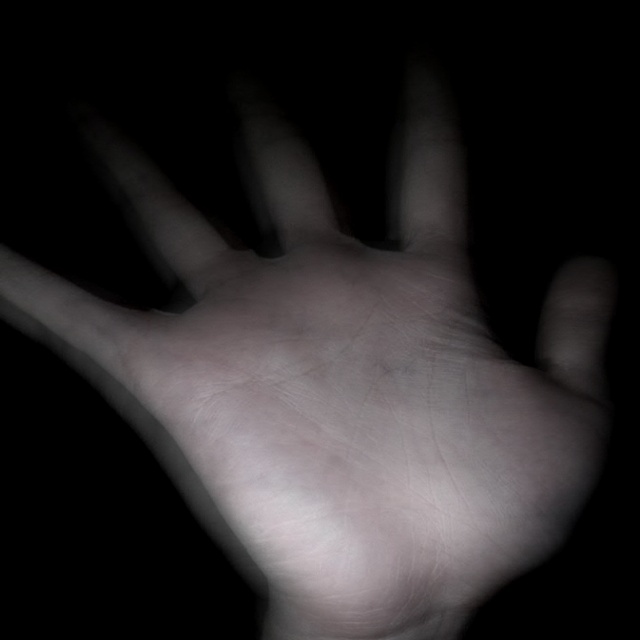 Journal_palm_blended Object Detection Dataset by Feng Chia University