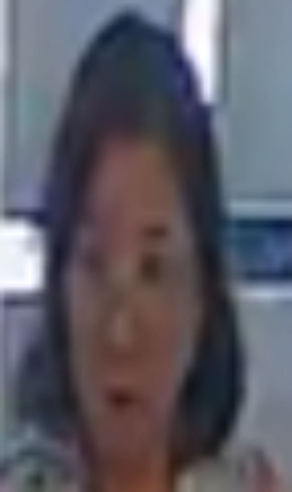 NSC (nsc-uygnc) - Roboflow Universe