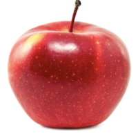 seg Instance Segmentation Model by AI