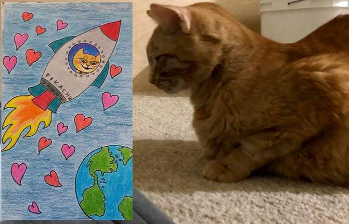 Ethan Zhou - Roboflow Universe