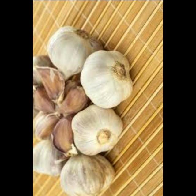 Retail Store Object Detection Dataset by moroccan data