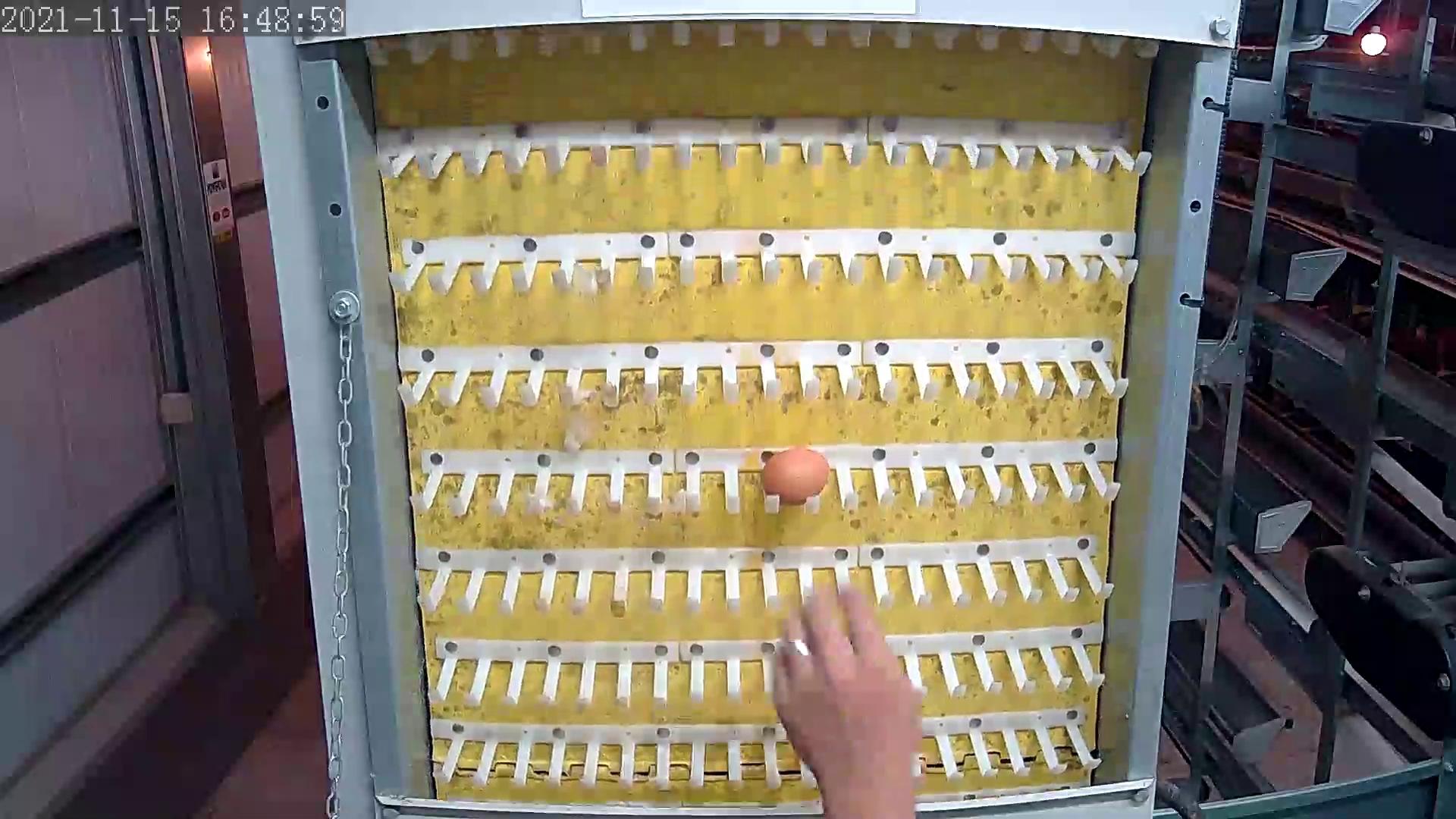 EGG_NMBK Object Detection Dataset and Pre-Trained Model by Yan