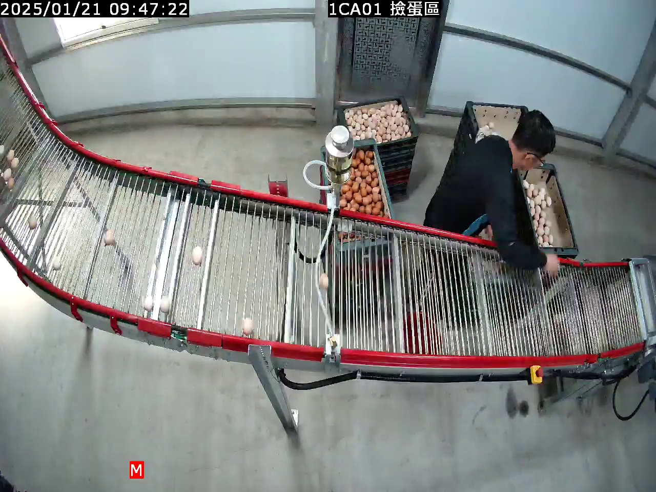 2025_0126(Total) Object Detection Dataset by Yan