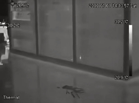 Detect puddle spw project Object Detection Dataset (v2, 2023-05-13 4:44am) by Dataset