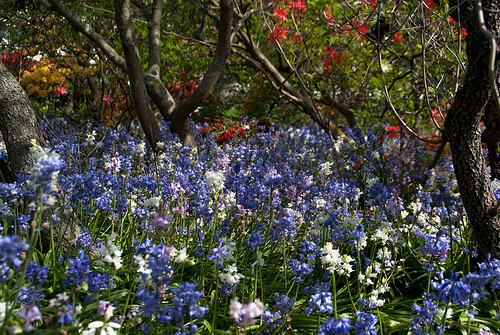 image classification Classification Model by image classification