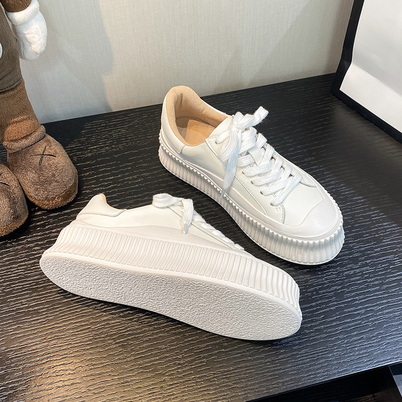 shoe Object Detection Dataset by Ferhat Aykan