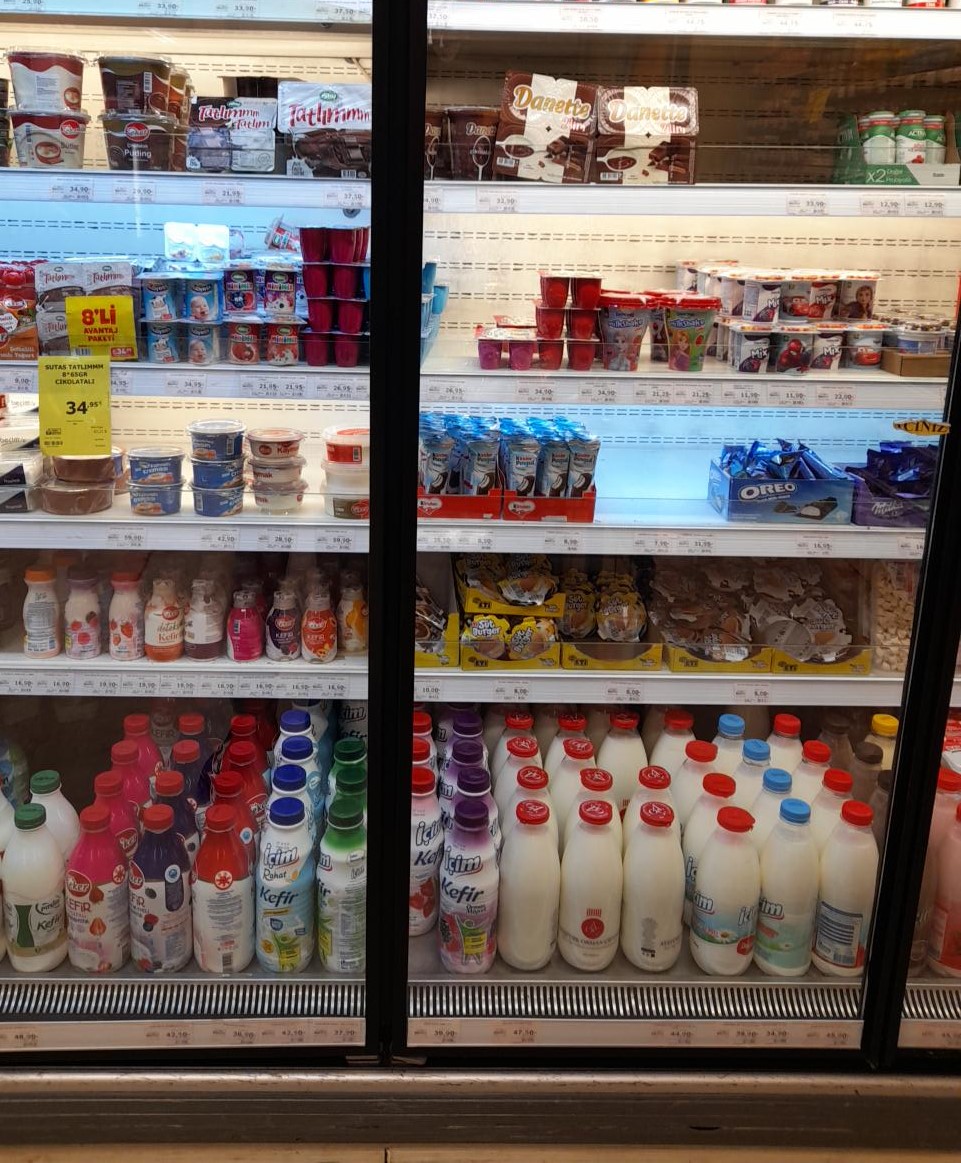 e-saha image processing Object Detection Model by objectdetection