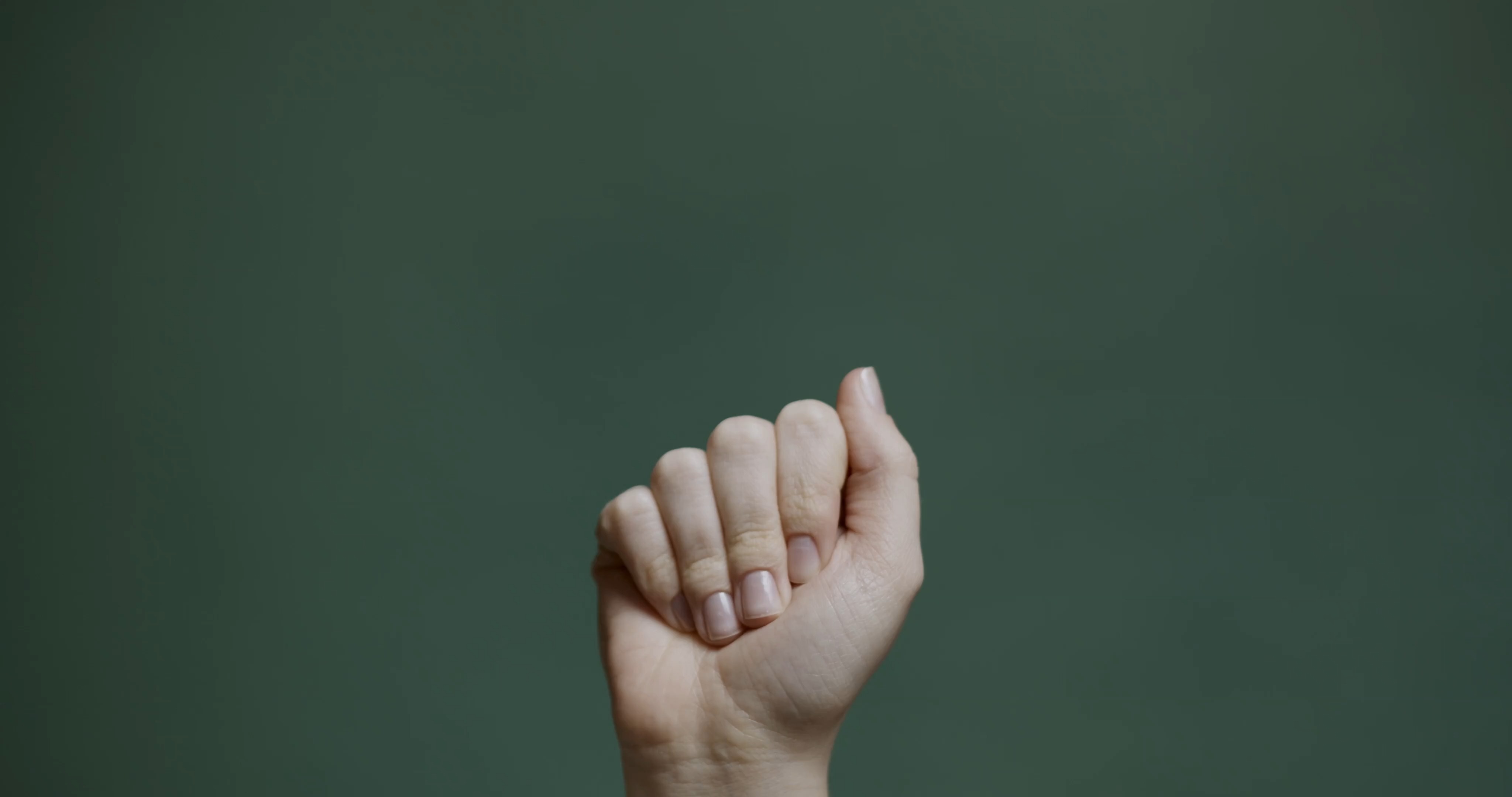 Hand sign language Object Detection Dataset by rabbit