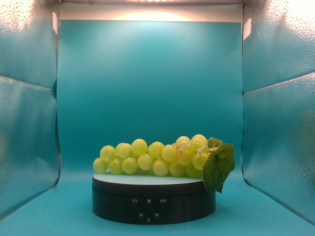 fruit_detector Object Detection Model by Field Robot Event