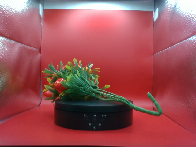 fake_strawberry_detector Object Detection Dataset and Pre-Trained Model by Field Robot Event