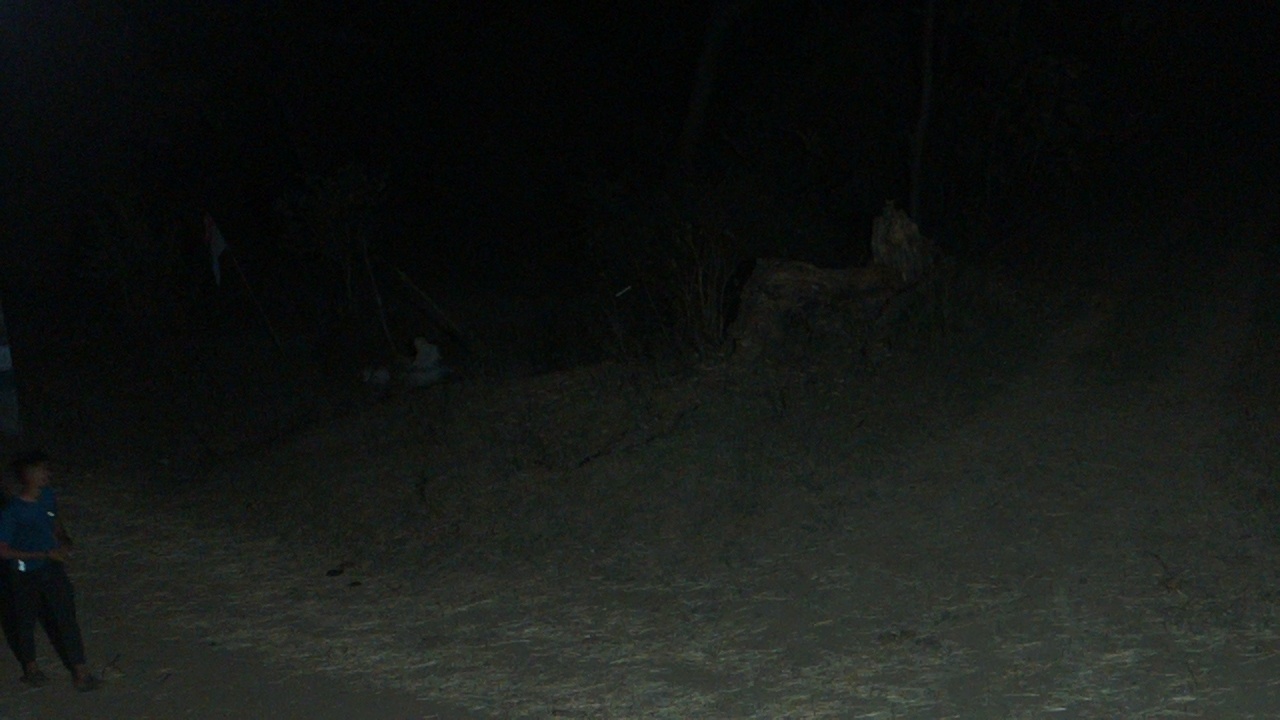 Forest_animal Object Detection Dataset by Ram Patidar