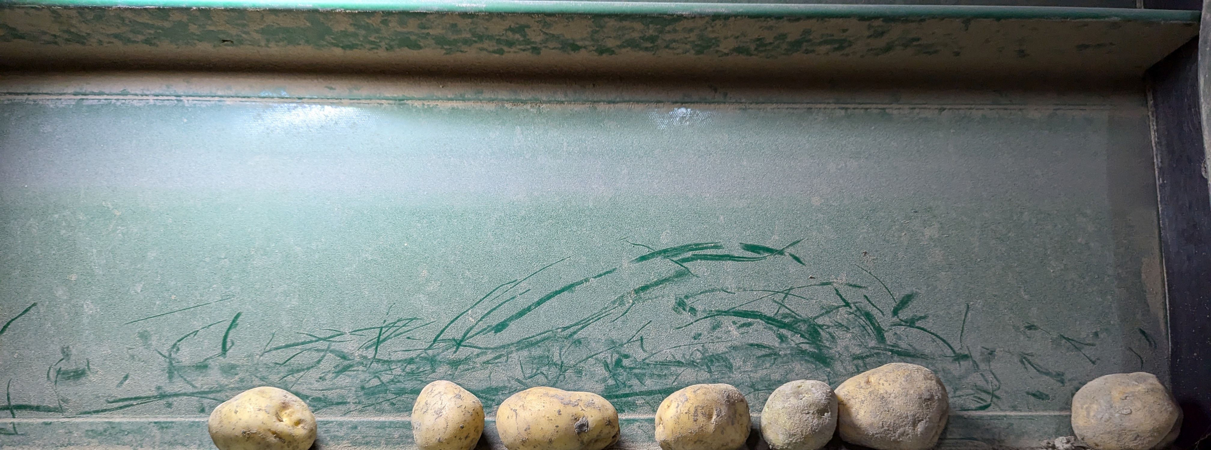 opvoerband Object Detection Model by test