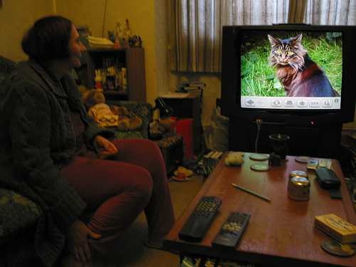 screen detection (screen-detection-ynx33) - Roboflow Universe