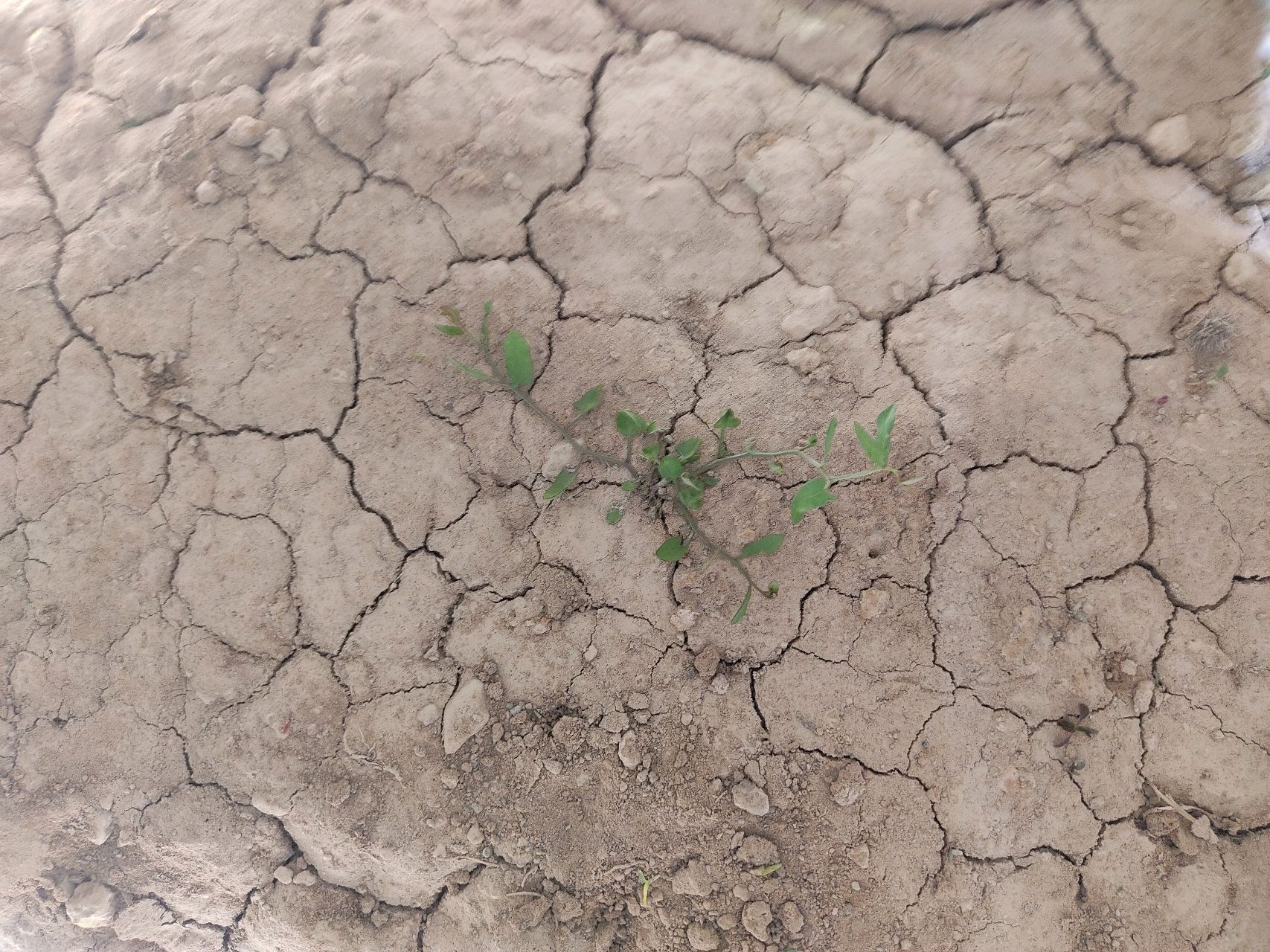 Yolov5 Object Detection Dataset And Pre Trained Model By University