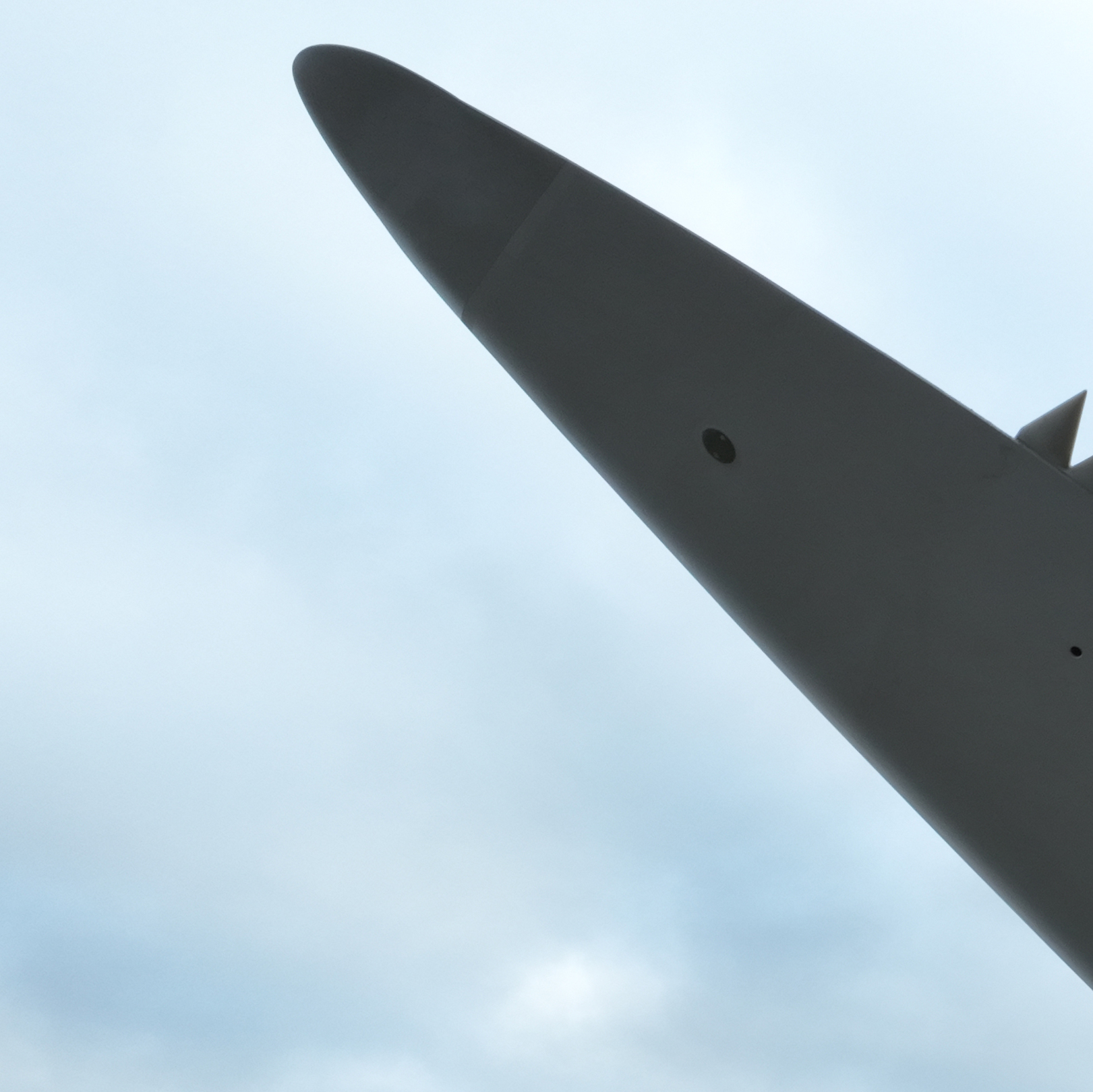 SHORT Instance Segmentation Dataset by Toki