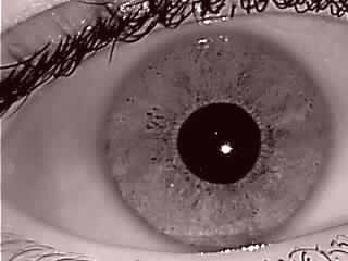 Pupil Object Detection Model by CV