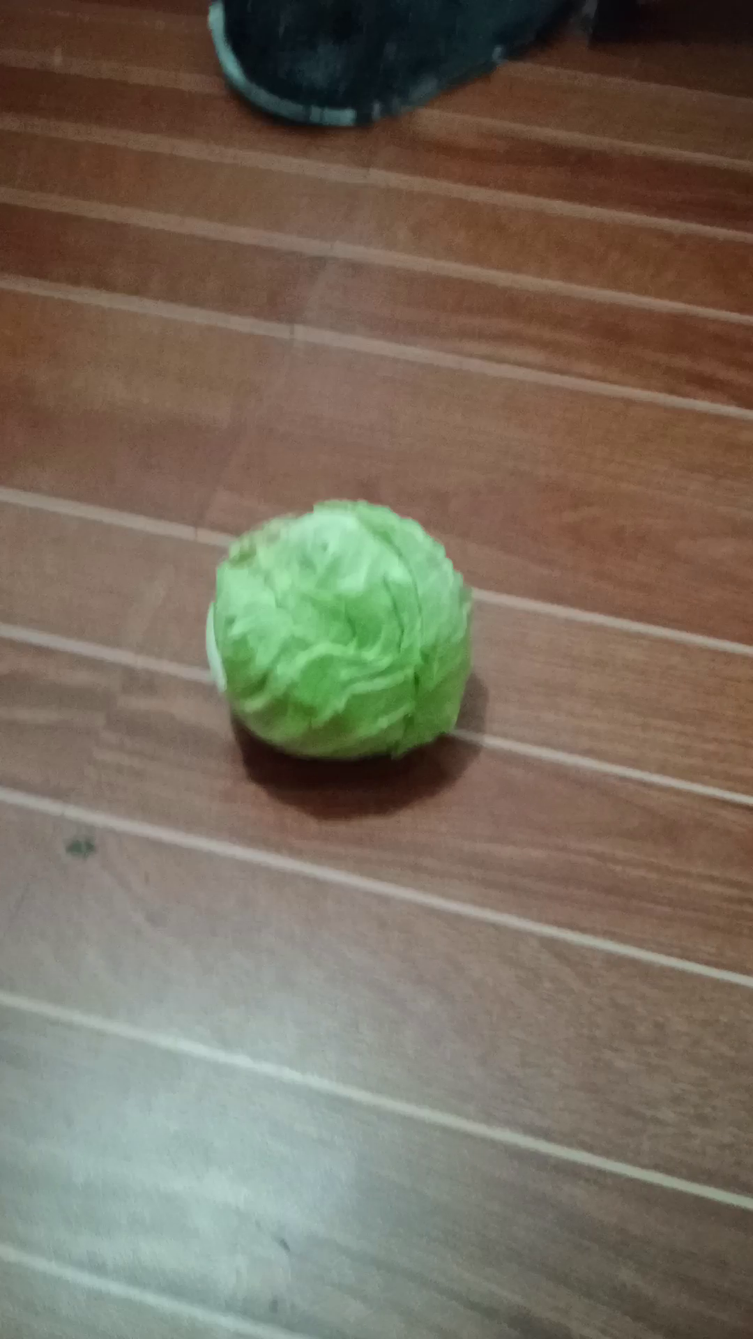 vegetable_1 Object Detection Model by datavegetable