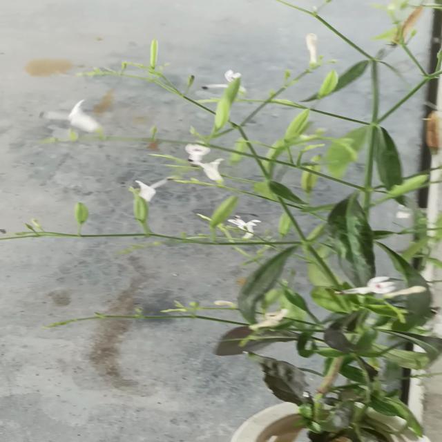 object detection Object Detection Model by classification