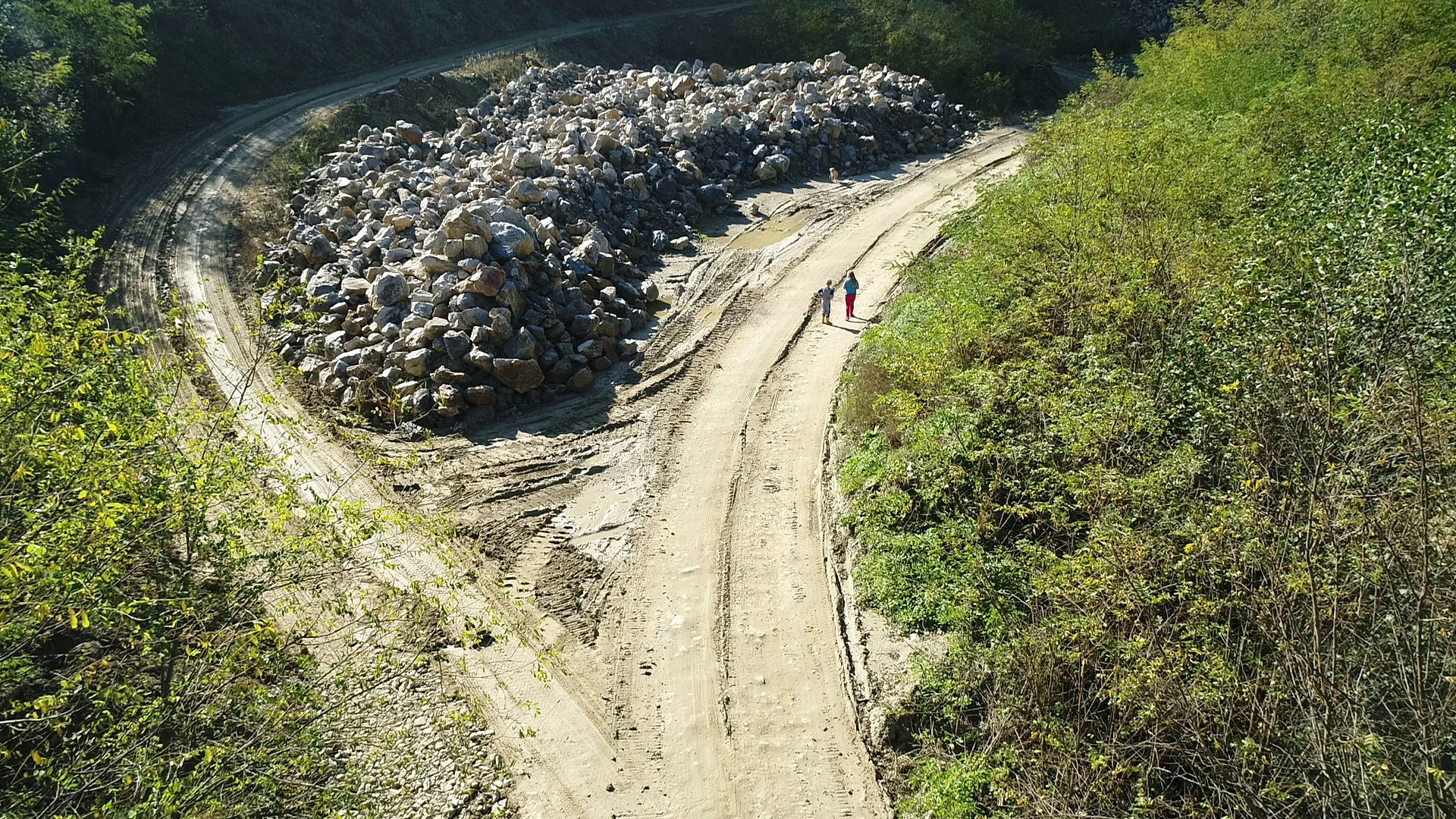 SARD_YOLO Object Detection Dataset by Animesh Shastry