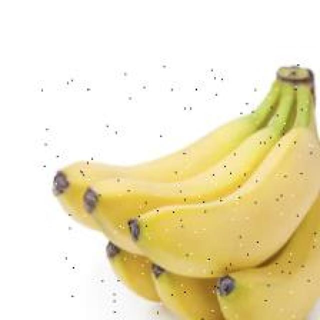 mealVision Object Detection Model by Final Project