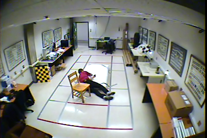 How to Use the Zzzz Object Detection API