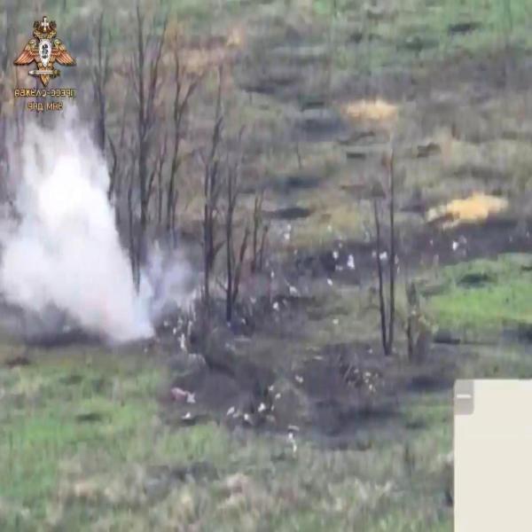 fire Instance Segmentation Dataset and Pre-Trained Model by forestfire