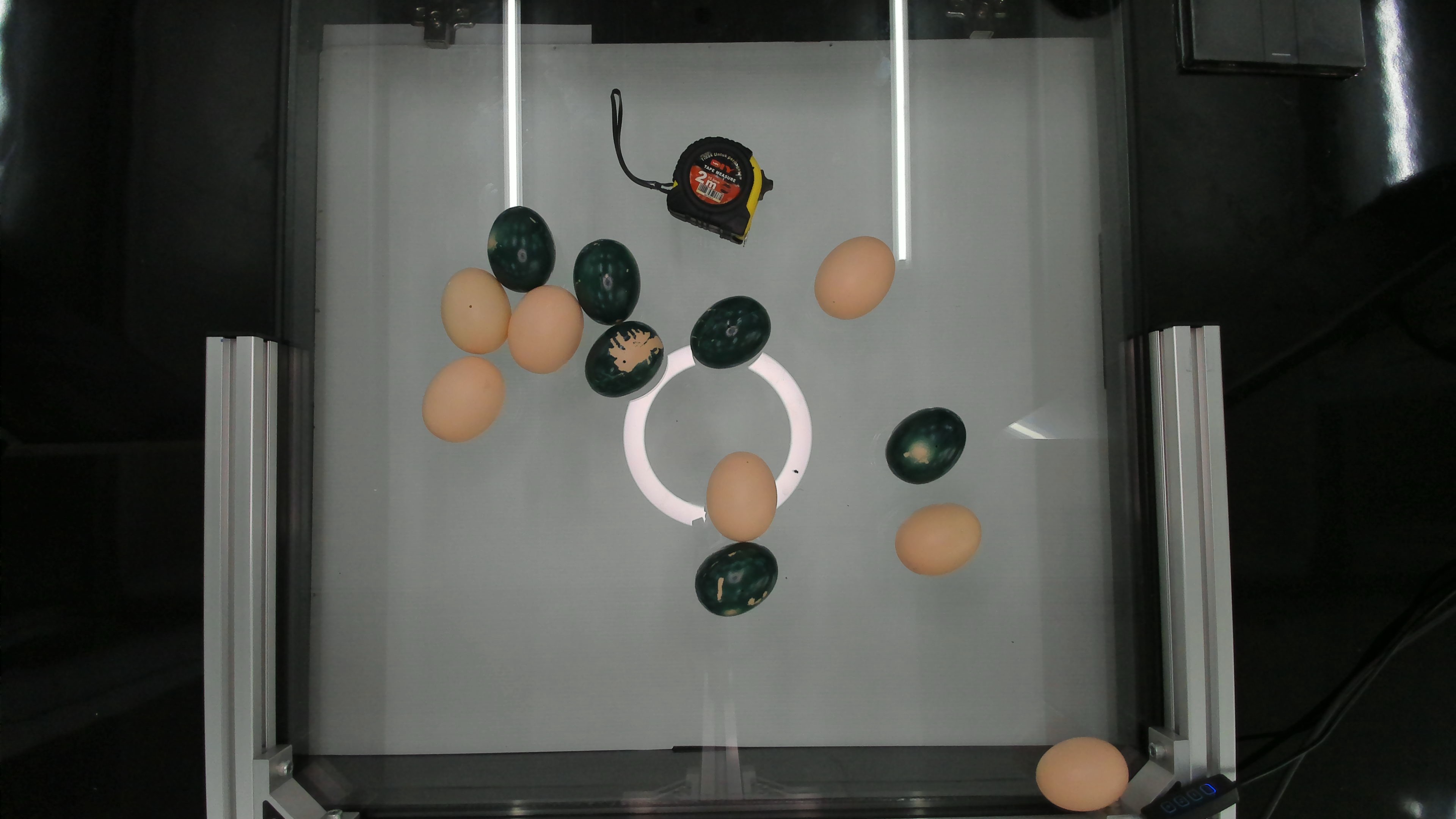 TypeEggs Object Detection Dataset by eggs